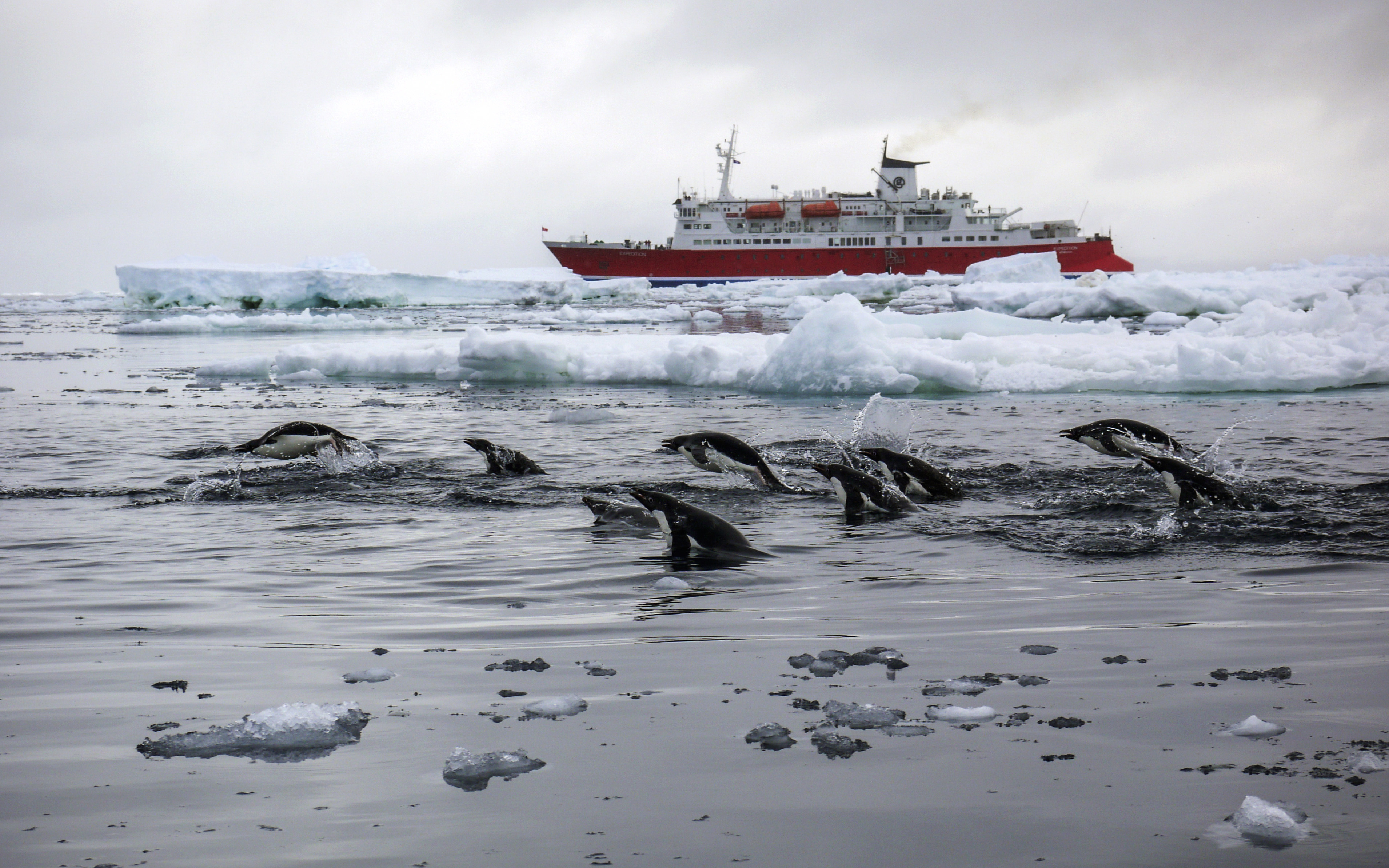 Expedition - Polaradventures - Expeditionen in Arktis und Antarktis