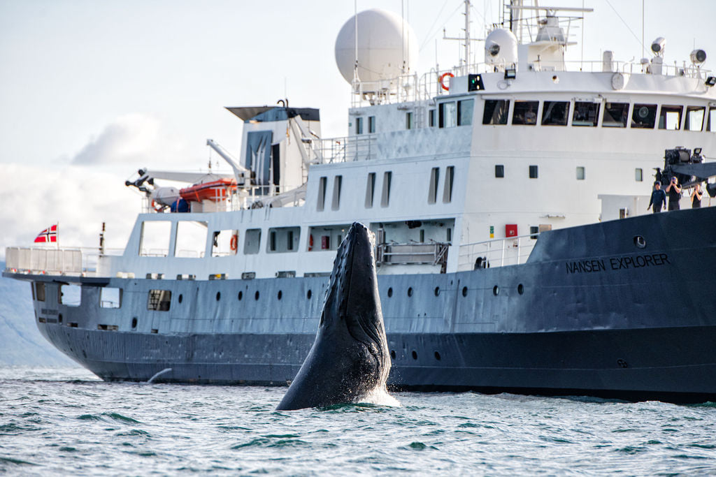 Nansen Explorer - Polaradventures – Expeditionen in Arktis und Antarktis